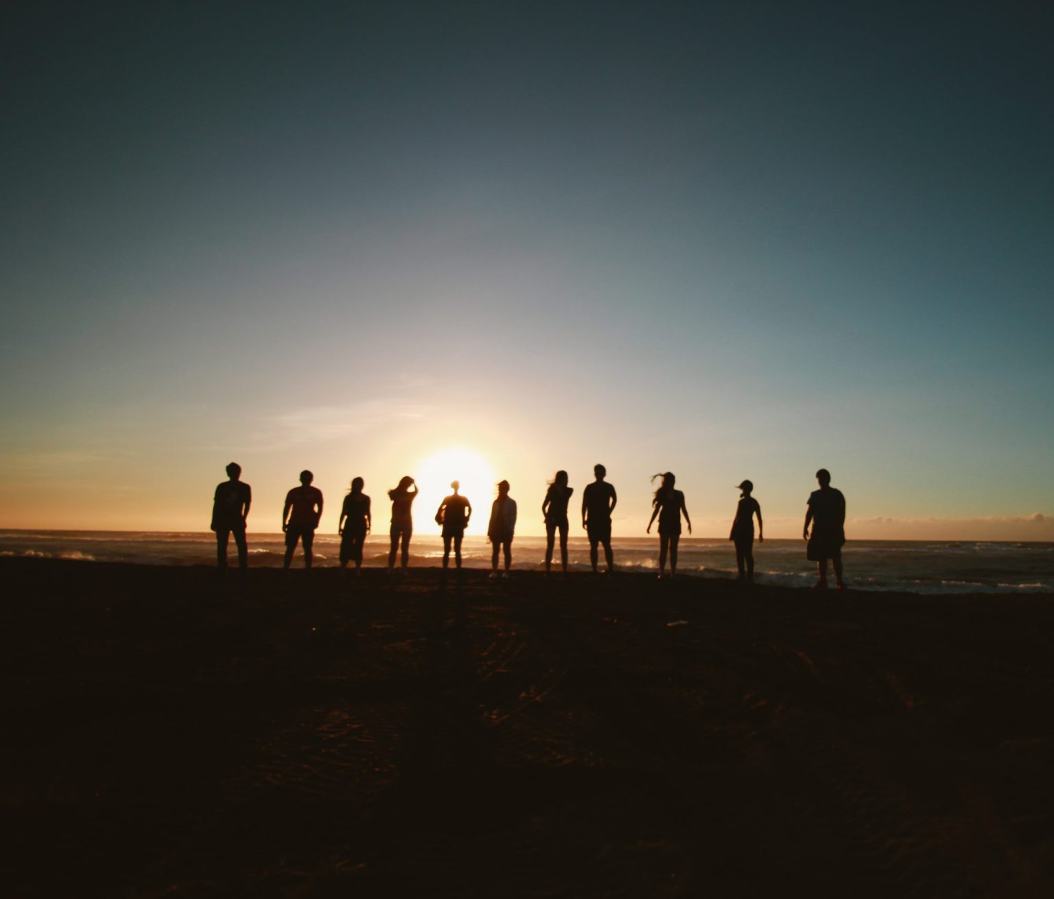 The Freedom Cells Challenge – Live Free Academy